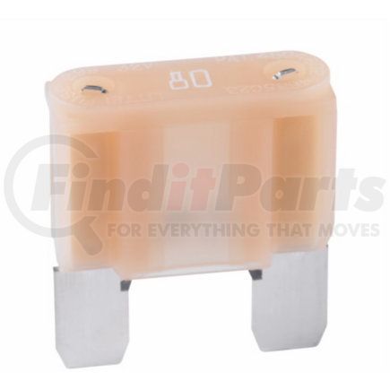 Freightliner BUS MAX80 - MAXI FUSE 80 AMP | FinditParts