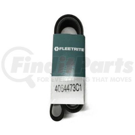 Navistar 4064473C1 Serpentine Belt | FinditParts