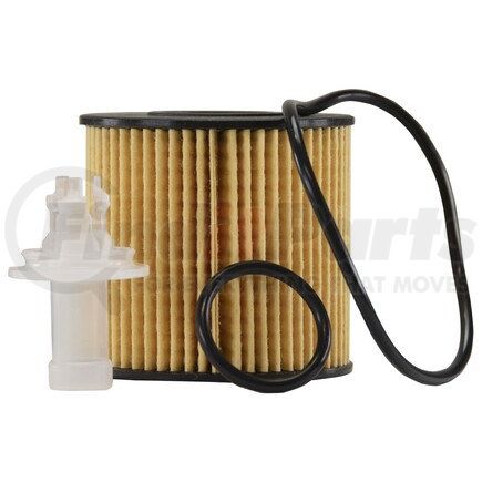 Ecogard Engine Oil Filter | Part Lookup, Online Catalog, Cross ...