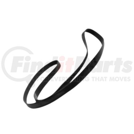 Navistar 4106109C1 Serpentine Belt | FinditParts