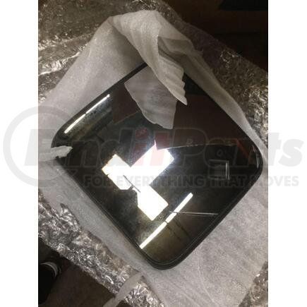 Navistar 2514728C1 Door Mirror | FinditParts