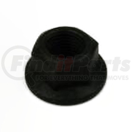 Navistar 414087C1 - INTERNATIONAL NUT FLG HD LK 1/ | FinditParts