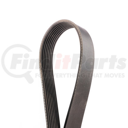 Dayco 5080585DR Serpentine Belt + Cross Reference | FinditParts