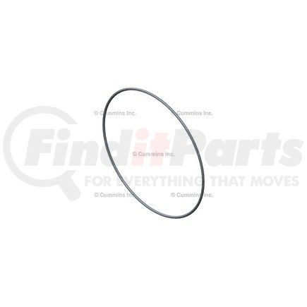 3678738 by CUMMINS - Seal Ring / Washer