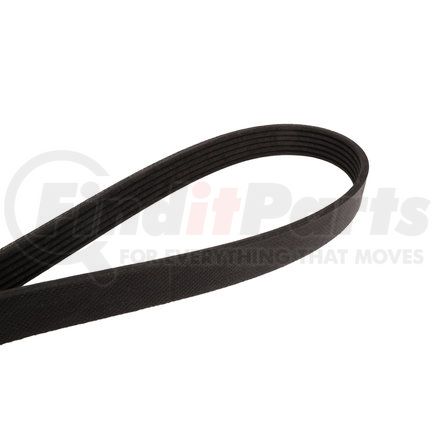 Continental AG 4061015 Serpentine Belt + Cross Reference | FinditParts