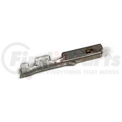 Navistar 3606047C1 - INTERNATIONAL TERMINAL CABLE M | FinditParts