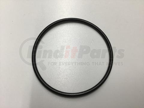 4059172 by CUMMINS - Seal Ring / Washer