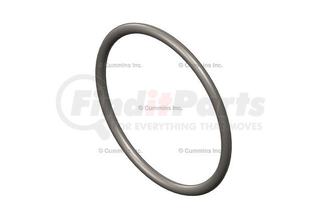 193736 by CUMMINS - Fuel Injector Seal - O-Ring, Cummins OEM