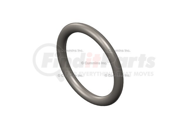3046201 by CUMMINS - Seal Ring / Washer