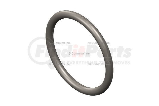 3050667 by CUMMINS - Seal Ring / Washer