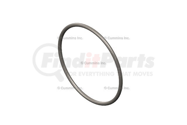 3678724 by CUMMINS - Seal Ring / Washer