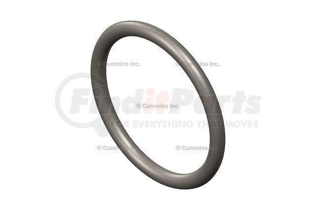 3678912 by CUMMINS - Seal Ring / Washer