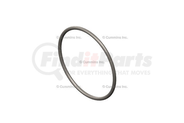 4059172 by CUMMINS - Seal Ring / Washer