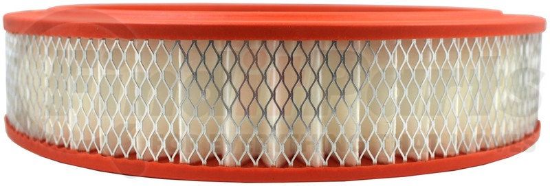 CA351 by FRAM - Air Filter