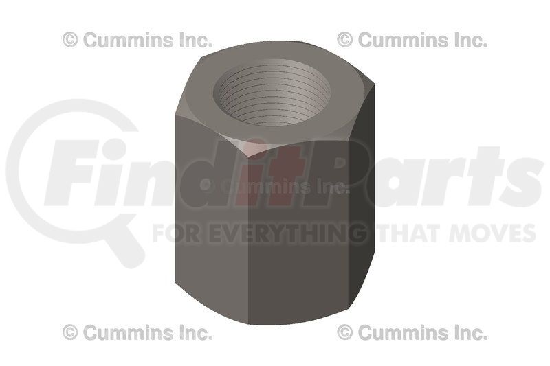 Cummins 3825168 - Heavy Hexagon Nut + Cross Reference | FinditParts