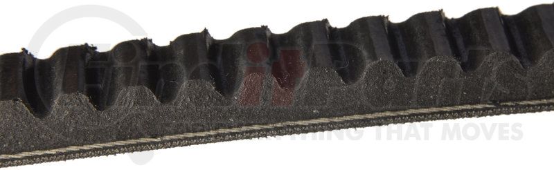 17386 by CONTINENTAL AG - Continental Automotive V-Belt